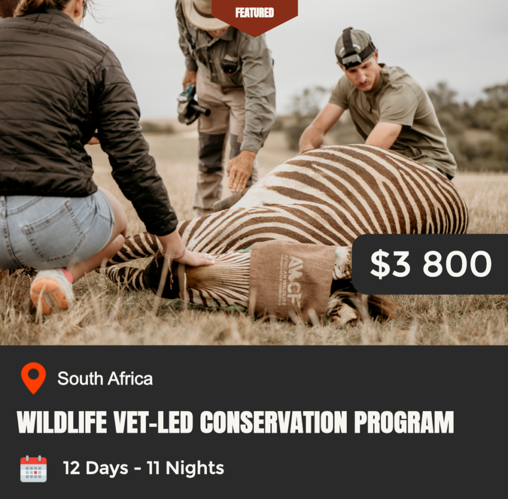 WILDEST VET – Veterinary.Wildlife.Conservation